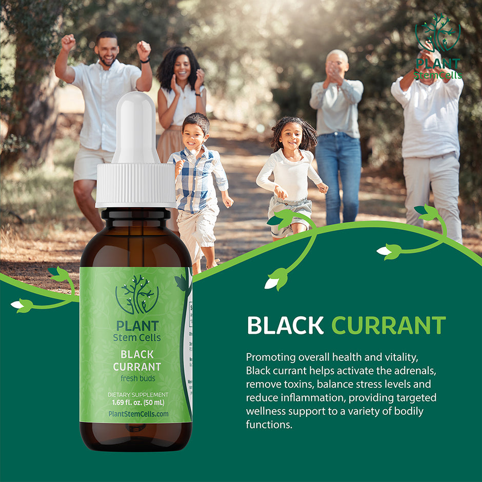 Products – Plant Stem Cells