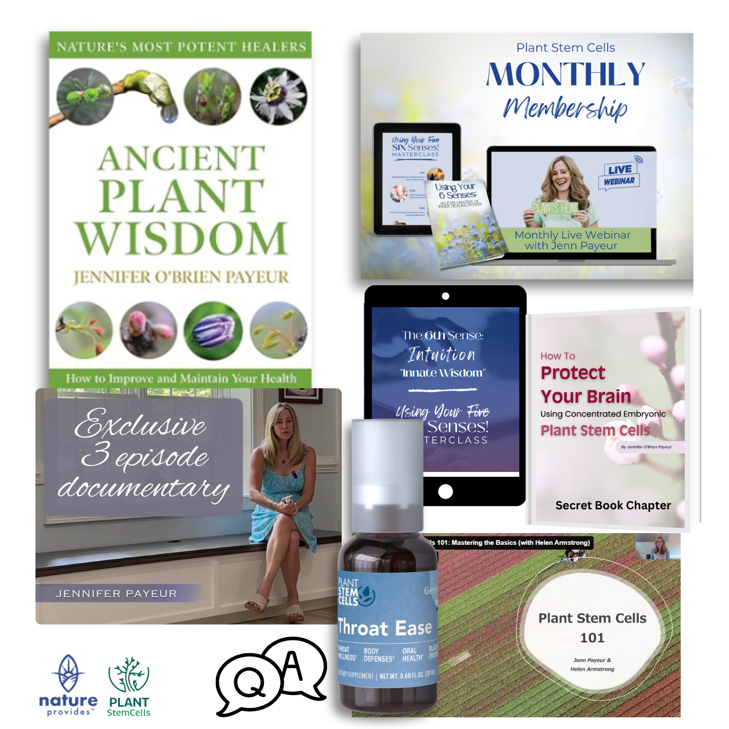 The Deep Dive – Plant Stem Cells