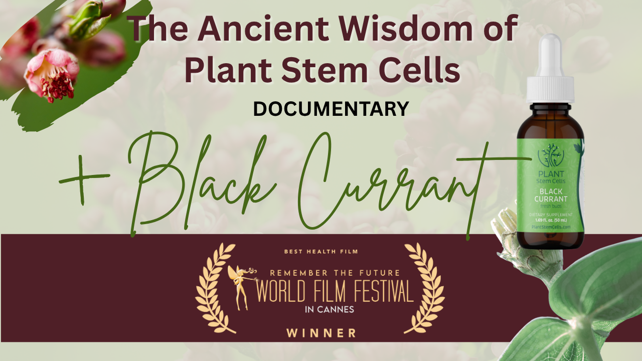 The Ancient Wisdom of Plant Stem Cells - EP Two - Thank You – Plant ...