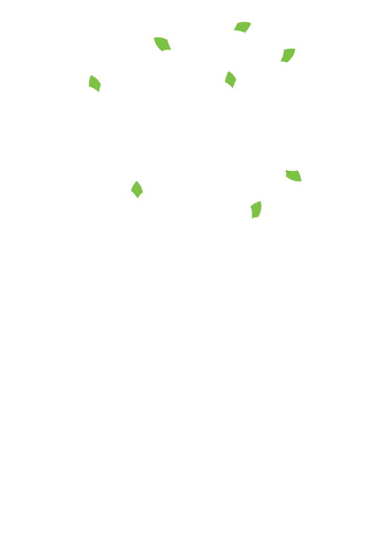 Introduction to Plant Stem Cells: Understanding the Basics – Plant Stem ...